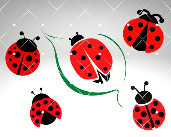 Ladybird SVG Bundle Ladybug SVG Butterfly Silhouette Summer - Etsy