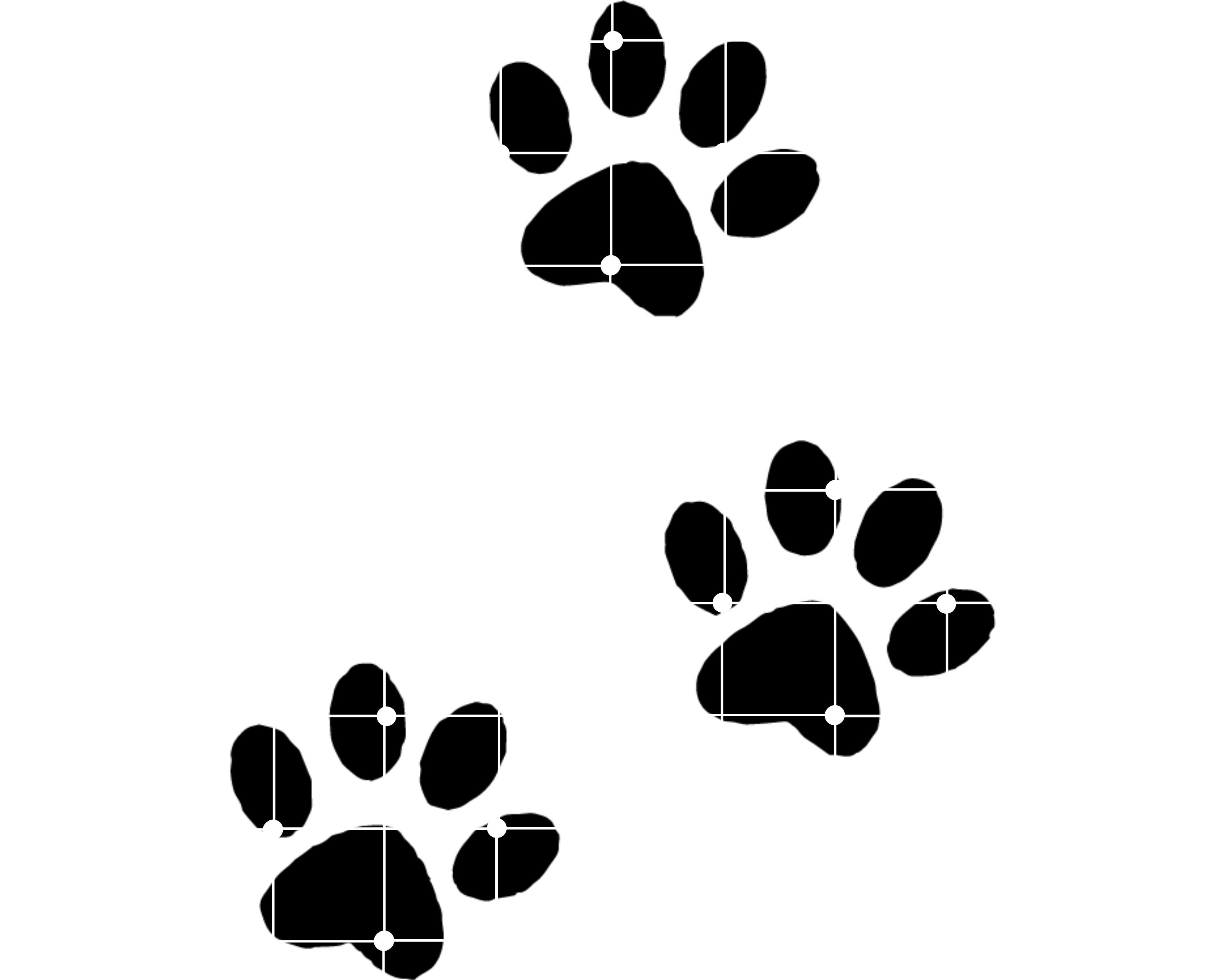 Paws Dog Paws SVG Animal Tracks Cricut Paw SVG Hunting - Etsy