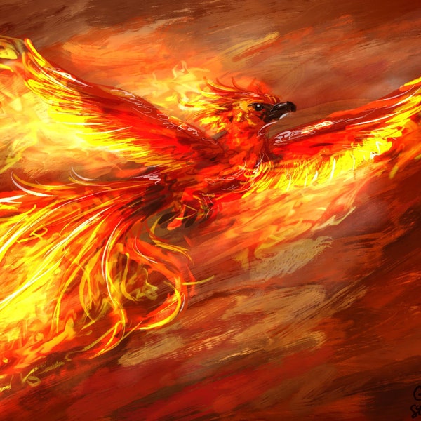 Fawkes Phoenix - Etsy