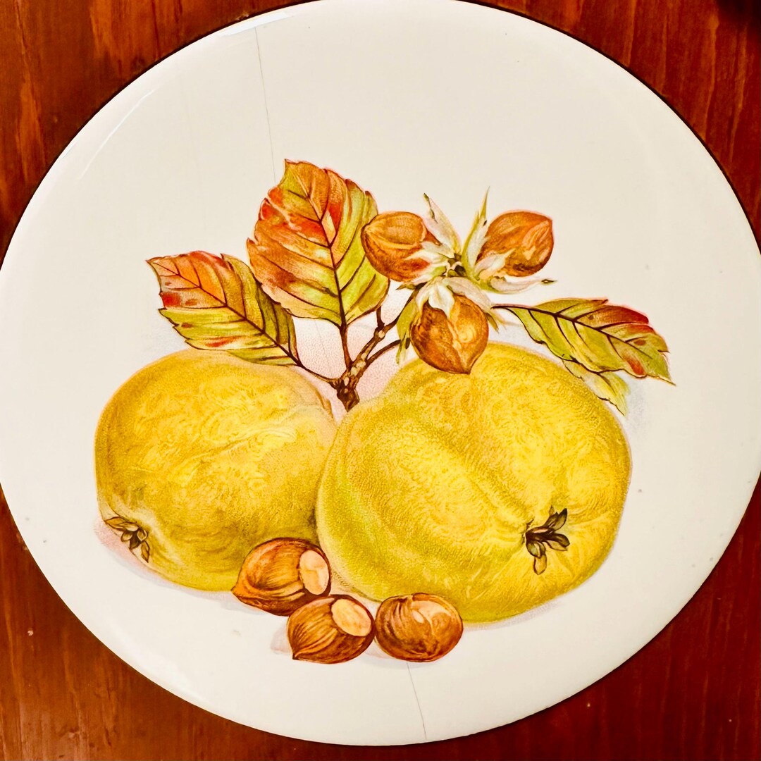 1970s Kitchen Trivet Apples MCM Wood Trivet Grandmacore Grandma Chic ...