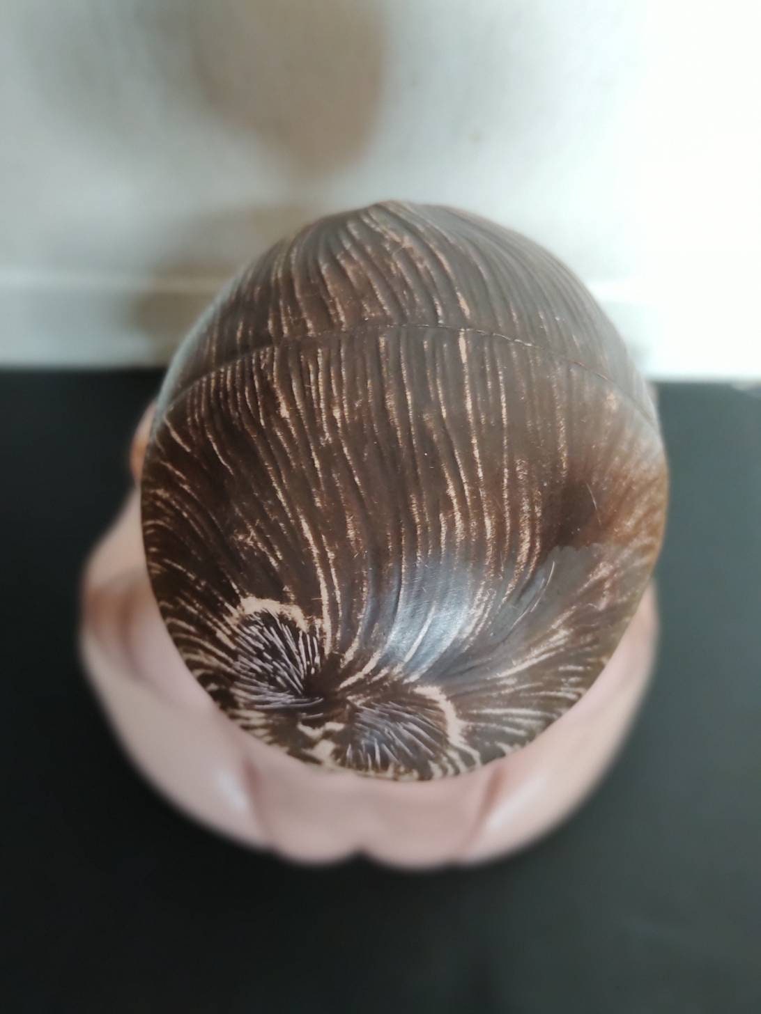 Celluloid Doll Marked france - Etsy