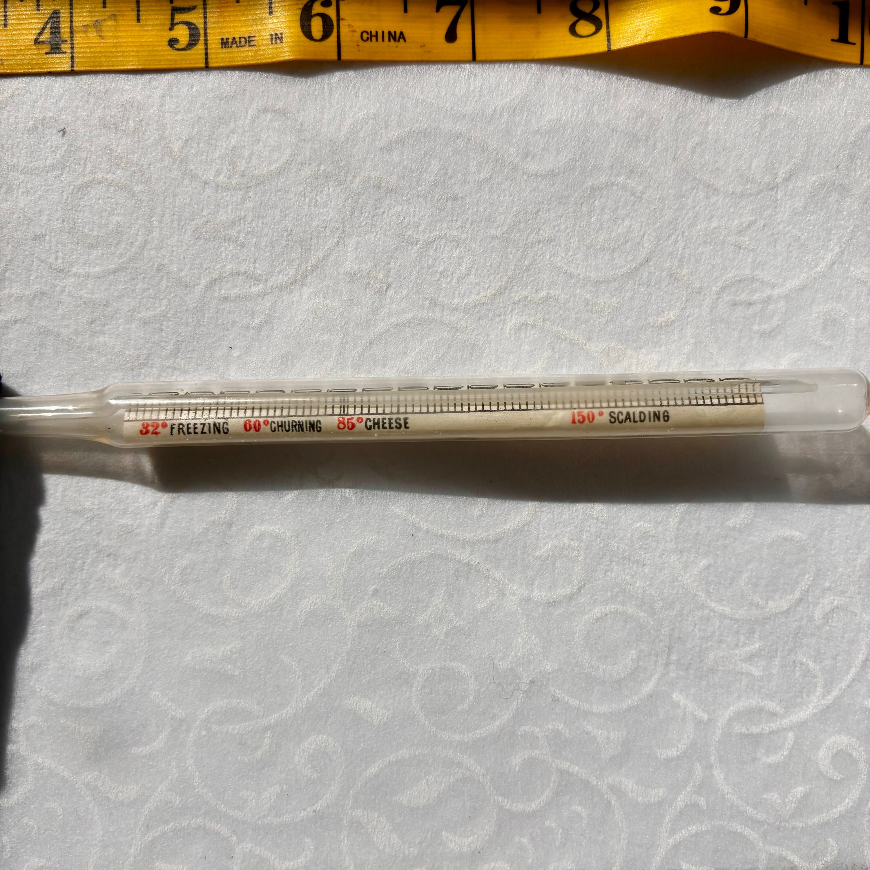 Vintage Floating Dairy Thermometer With Original Cardstock Case - Etsy