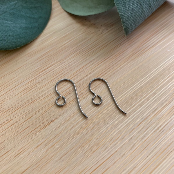 Titanium Earrings - Etsy