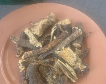 Osha Bear Root - Etsy