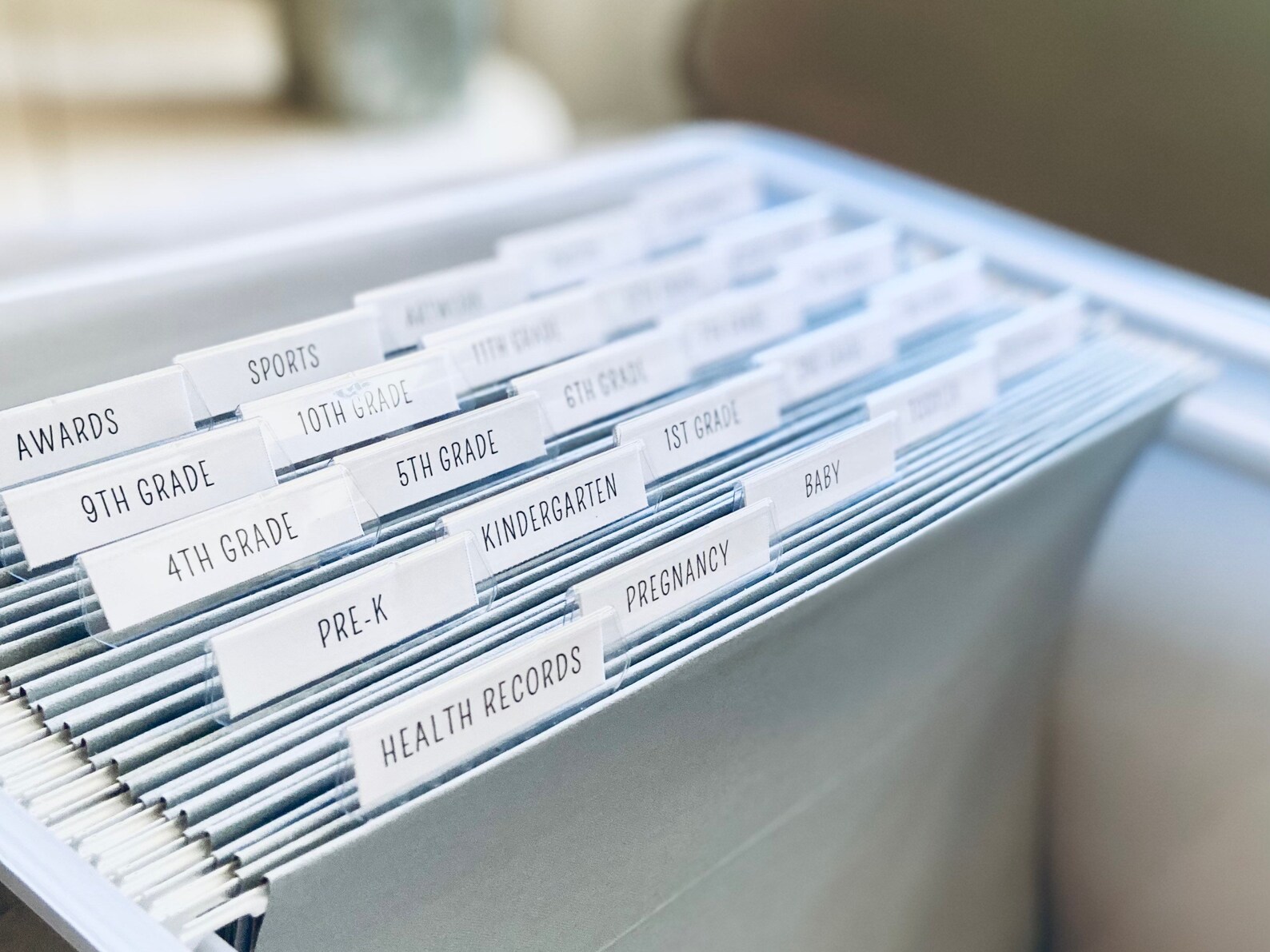 Milestone Tote Labels - Milestone Tote Name Decal and Folder Labels DIY ...