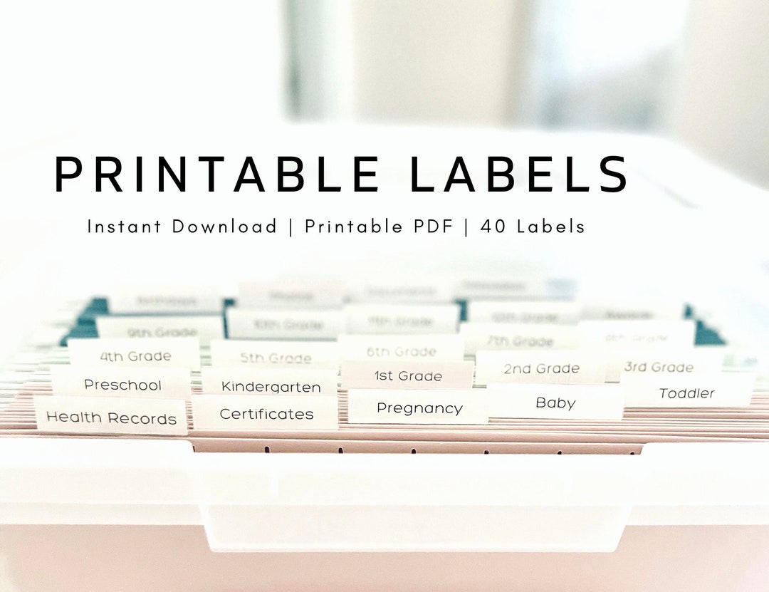 Printable Milestone Tote Labels Instant Download School File Box Labels ...