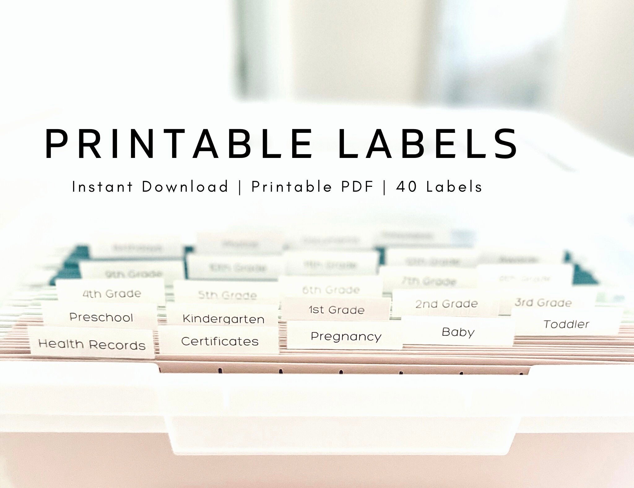 Printable Milestone Tote Labels Instant Download School - Etsy