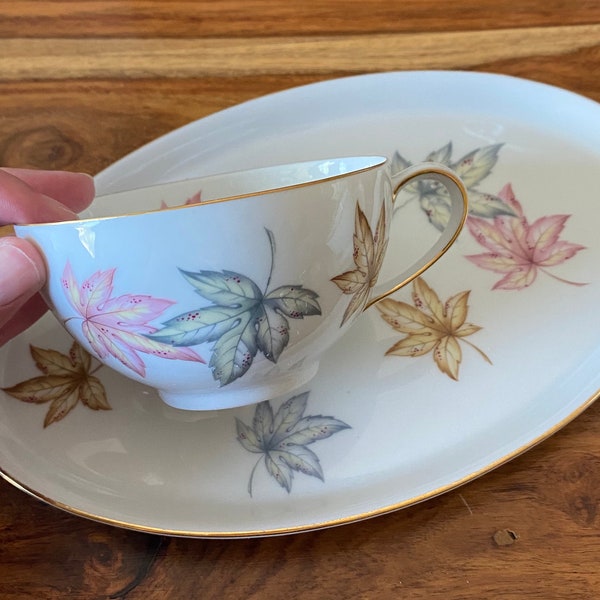 German Bone China - Etsy