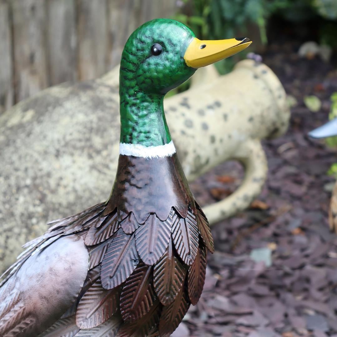 Metal Garden Duck Ornament, Green and Grey Mallard Farmyard Male Duck ...