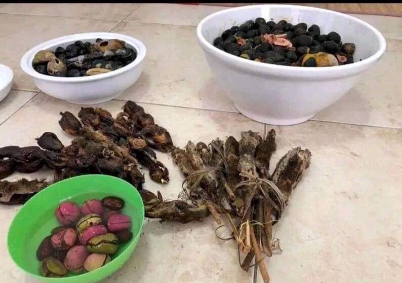 Cool Water & Goat + Bird(s) Ebo/solution (*palm Oil,*efun,*honey ...