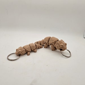 Adorable Bearded Dragon Keychain! - Etsy