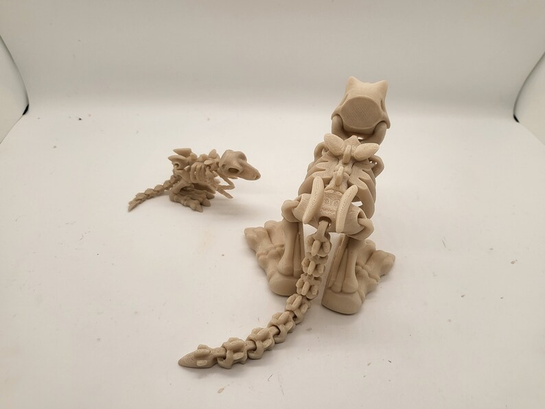 Bone T-rex (skeleton) - Etsy