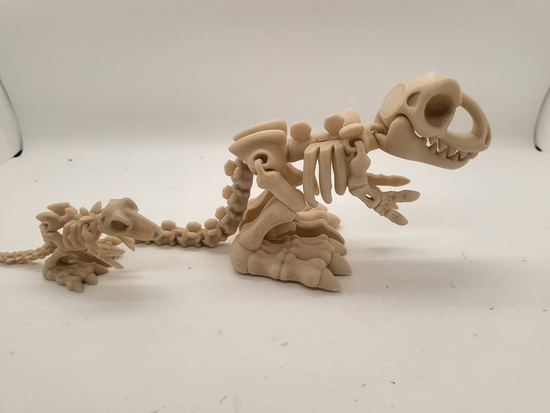 Bone T-rex (skeleton) - Etsy