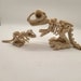 Bone T-rex (skeleton) - Etsy