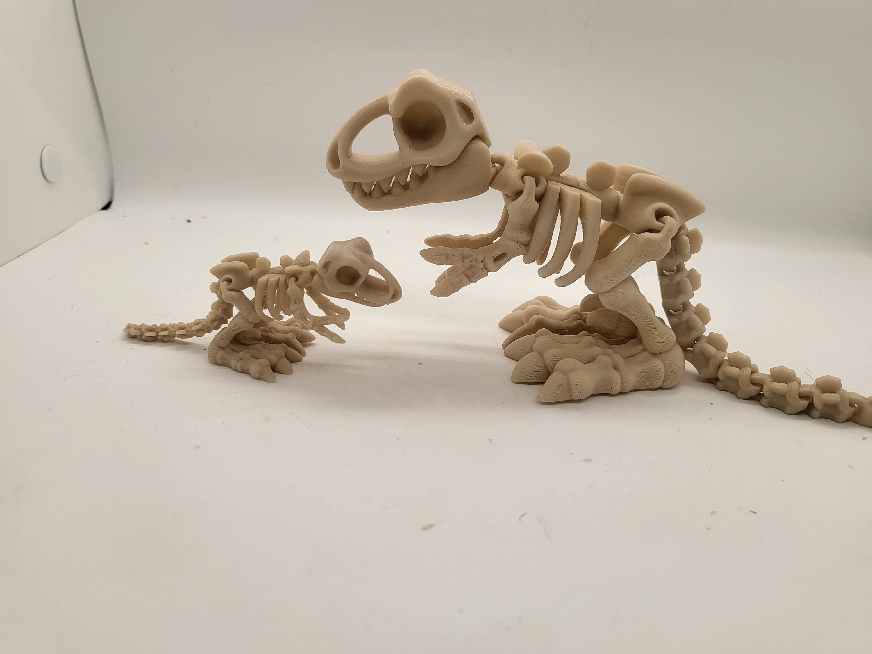 Bone T-rex (skeleton) - Etsy