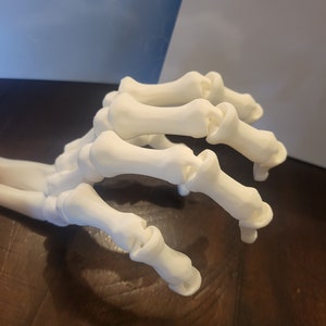 Flexi Skeleton Hand! - Etsy