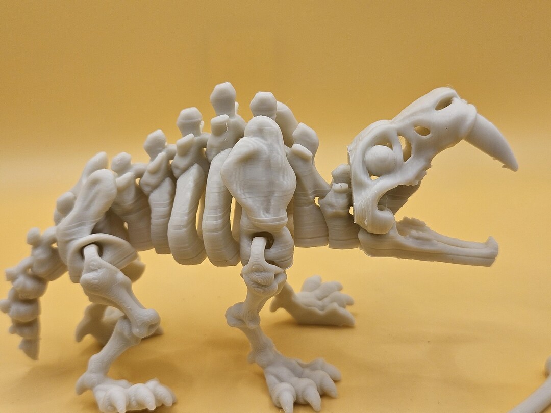 Skeleton Saber-tooth Tiger! - Etsy