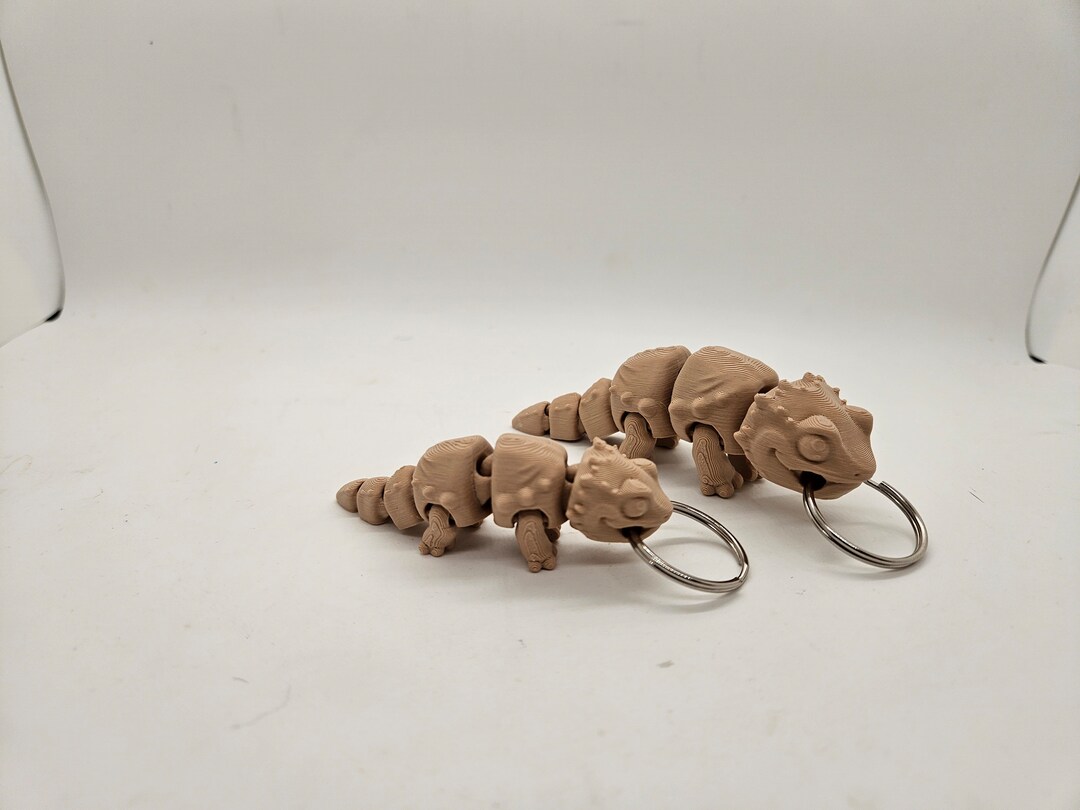 Adorable Bearded Dragon Keychain! - Etsy