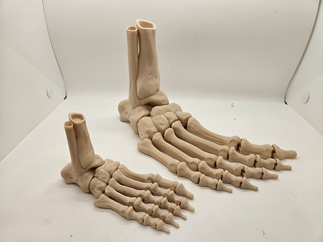Flexi Skeleton Foot! - Etsy