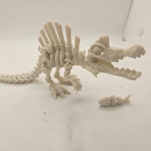 Flxi Skeleton Spinosaurus - Etsy
