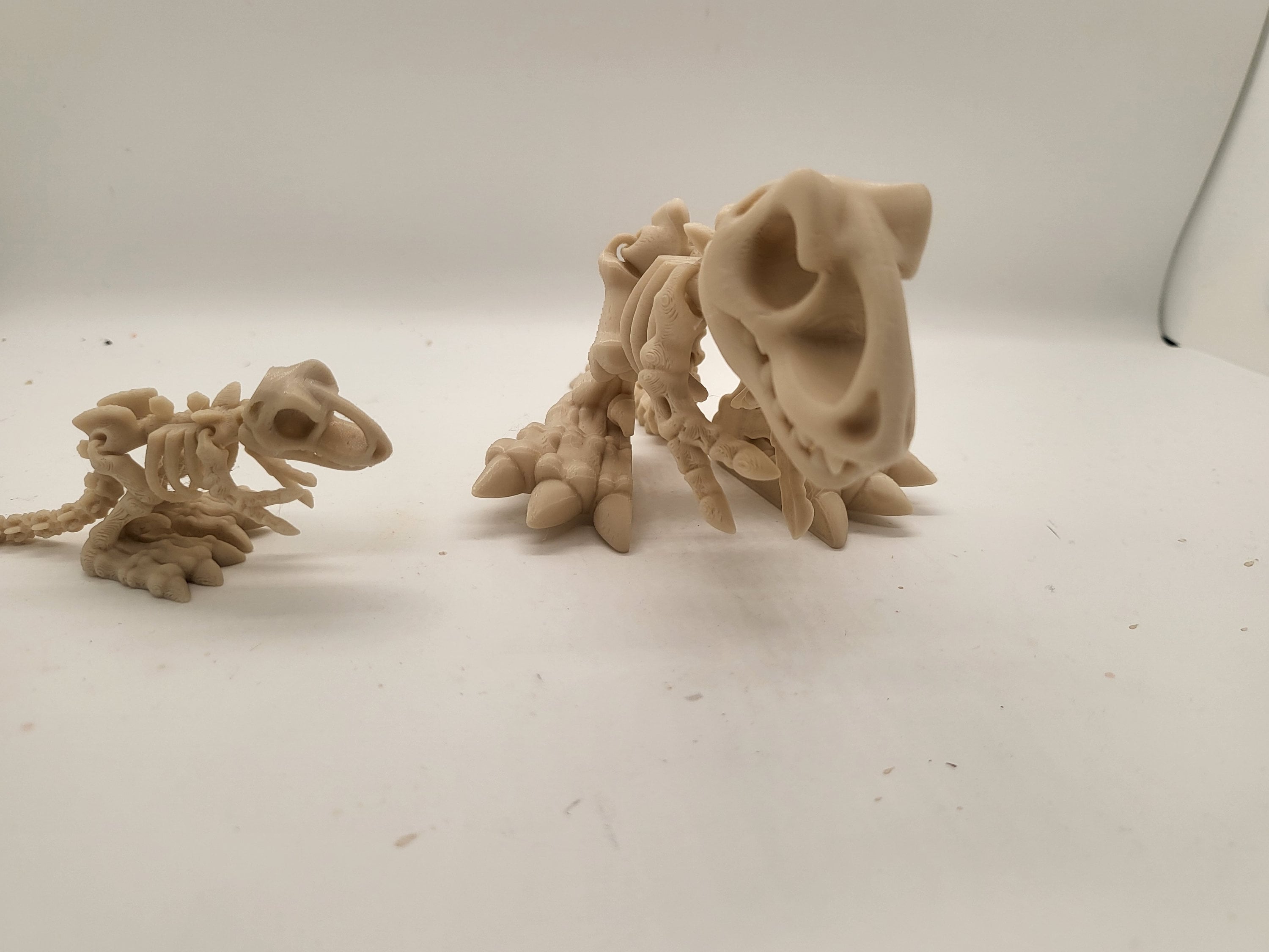 Bone T-rex (skeleton) - Etsy