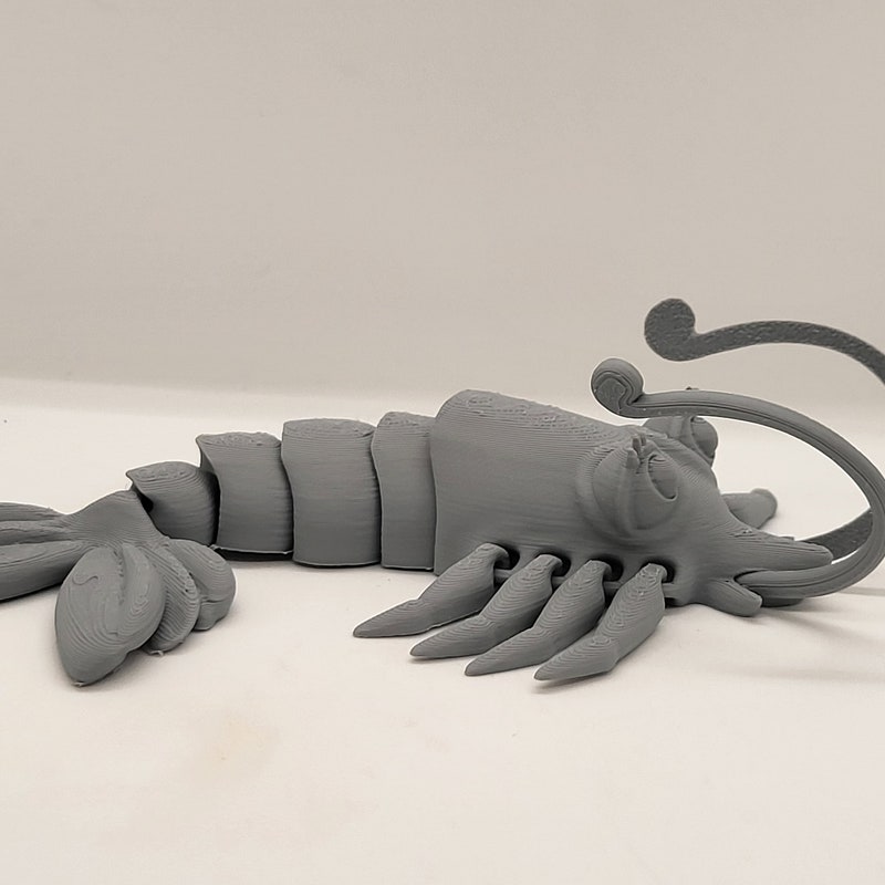 Shrimp at Desk - Etsy