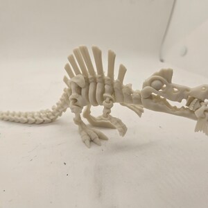 Flxi Skeleton Spinosaurus - Etsy