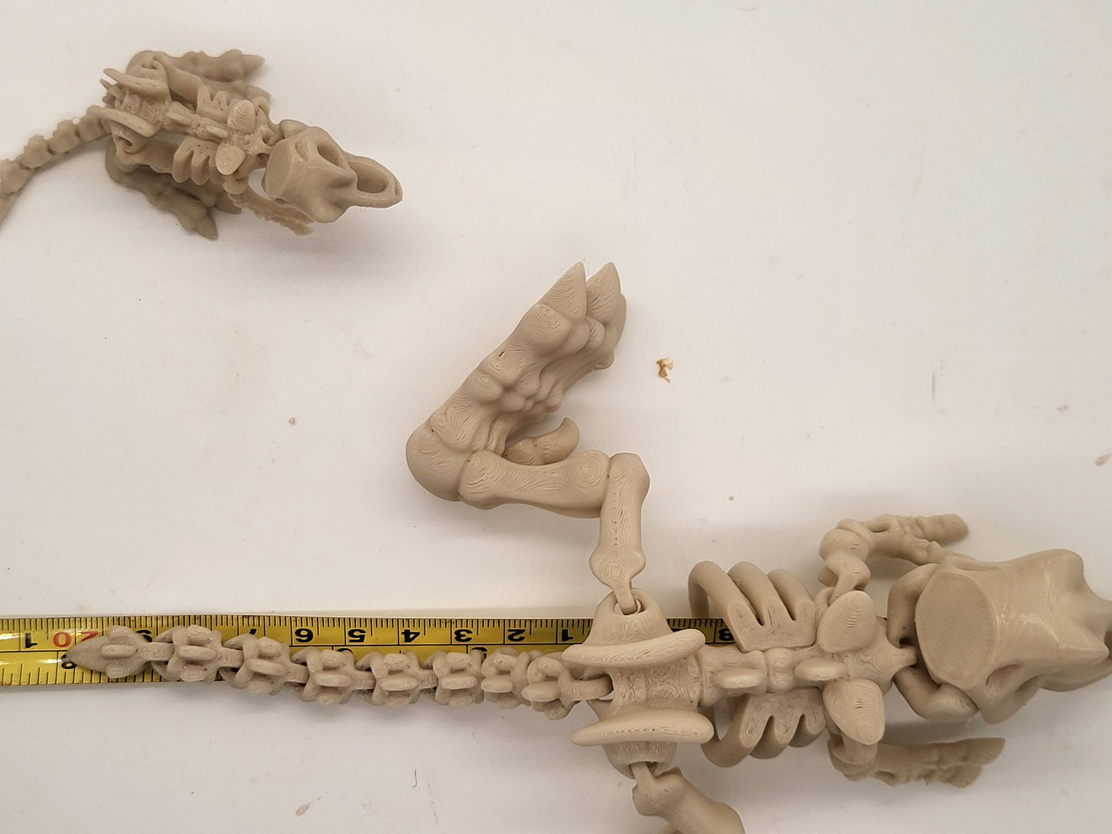 Bone T-rex (skeleton) - Etsy