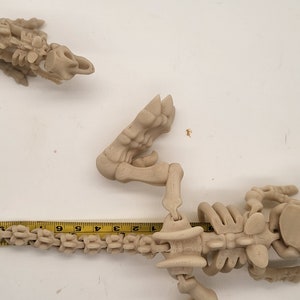 Bone T-rex (skeleton) - Etsy