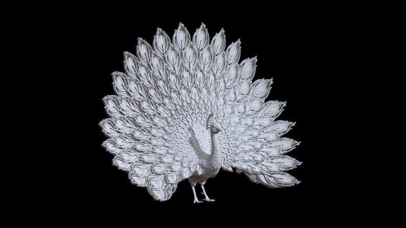 Animal Peacock Model OTH088 STL File for 3D Printing - Etsy