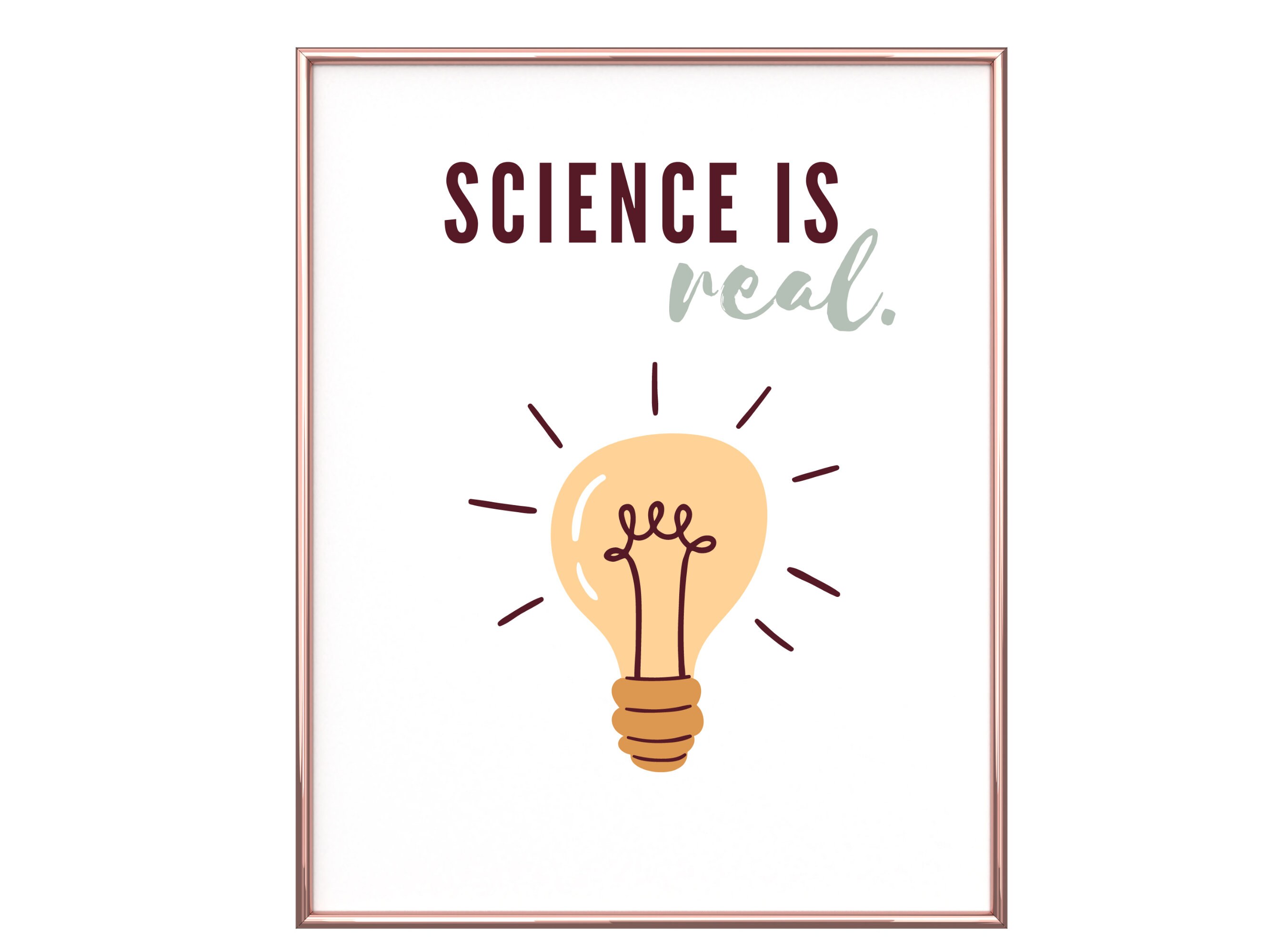 Middle School Science Classroom Decorations