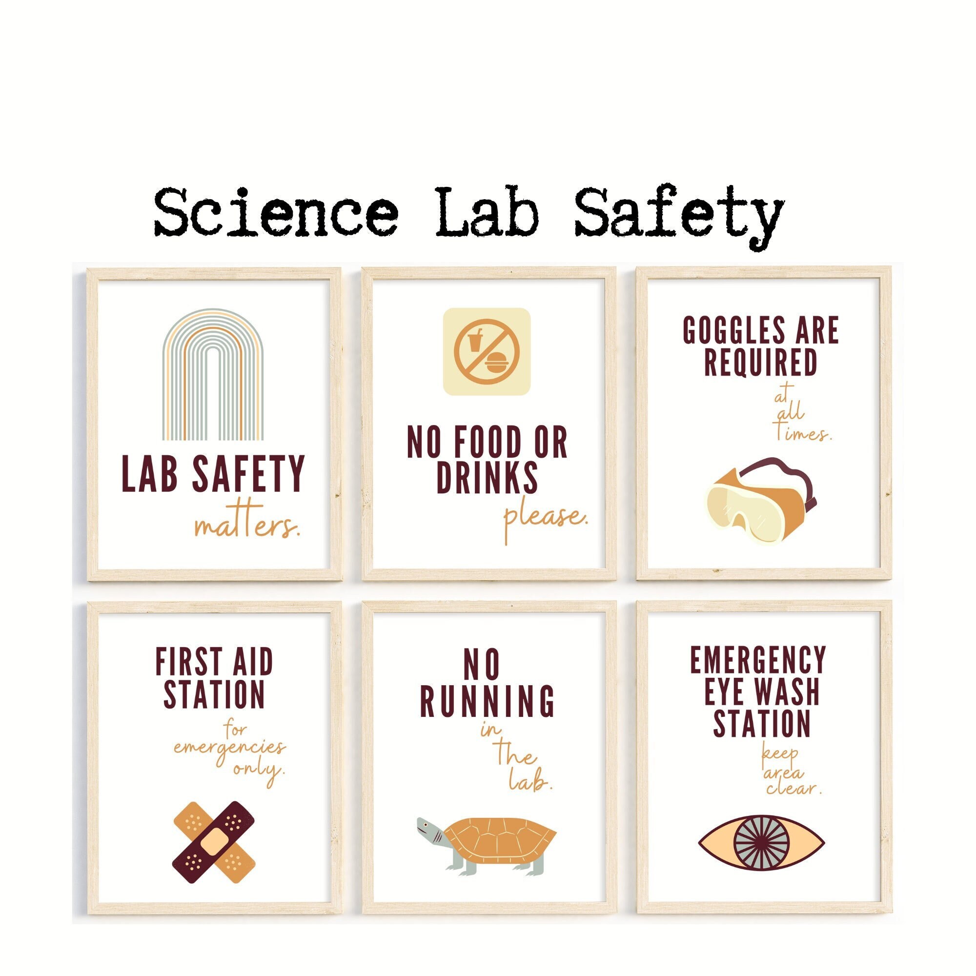 Lab Safety Poster Goggles