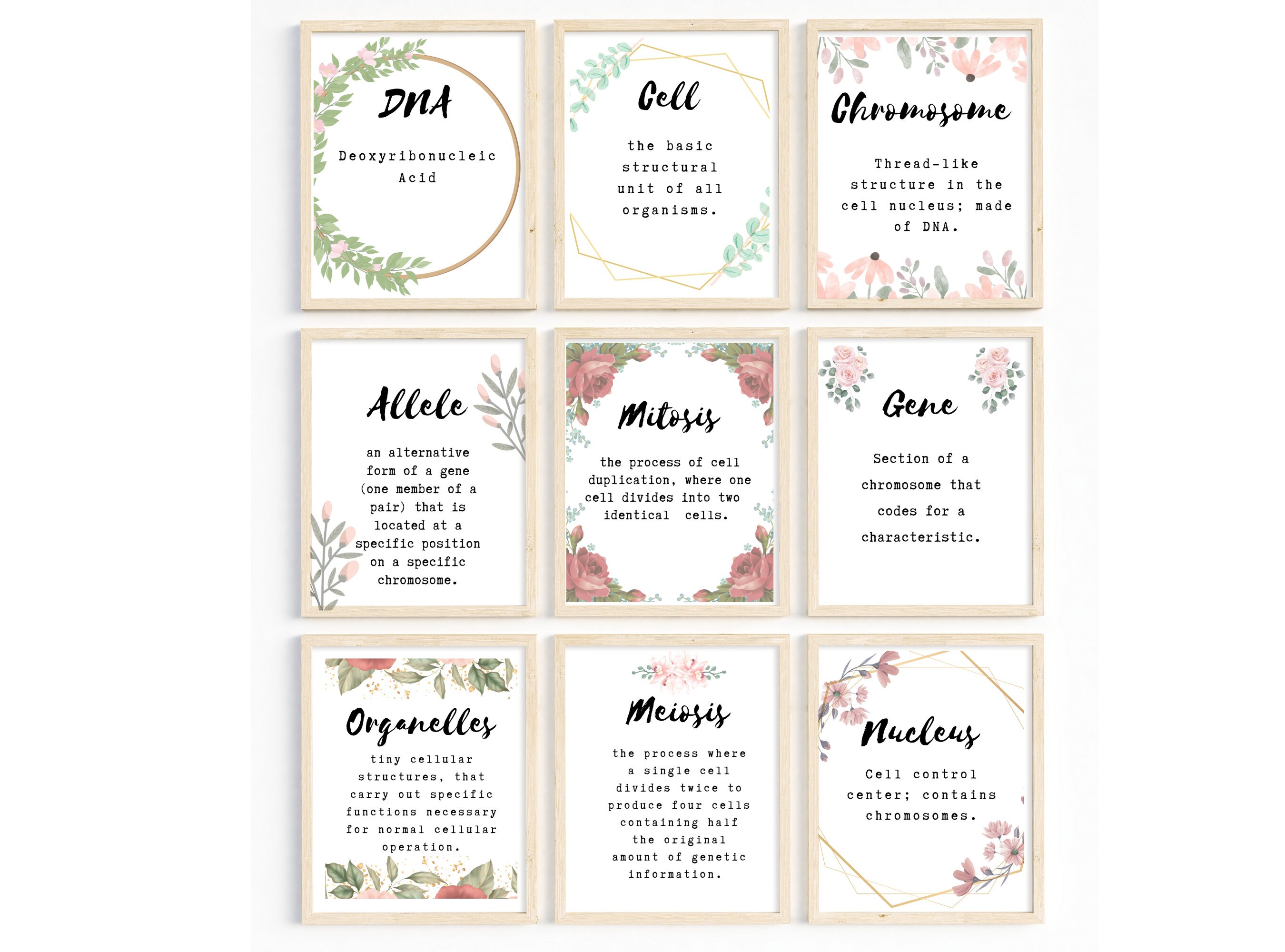 Biology Classroom Posters Science Classroom Posters Science | Etsy