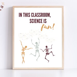 Science is Fun; High School Science Classroom Poster; Science Teacher ...