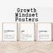 English Classroom Posters High School ELA Classroom Decor Minimalist ...