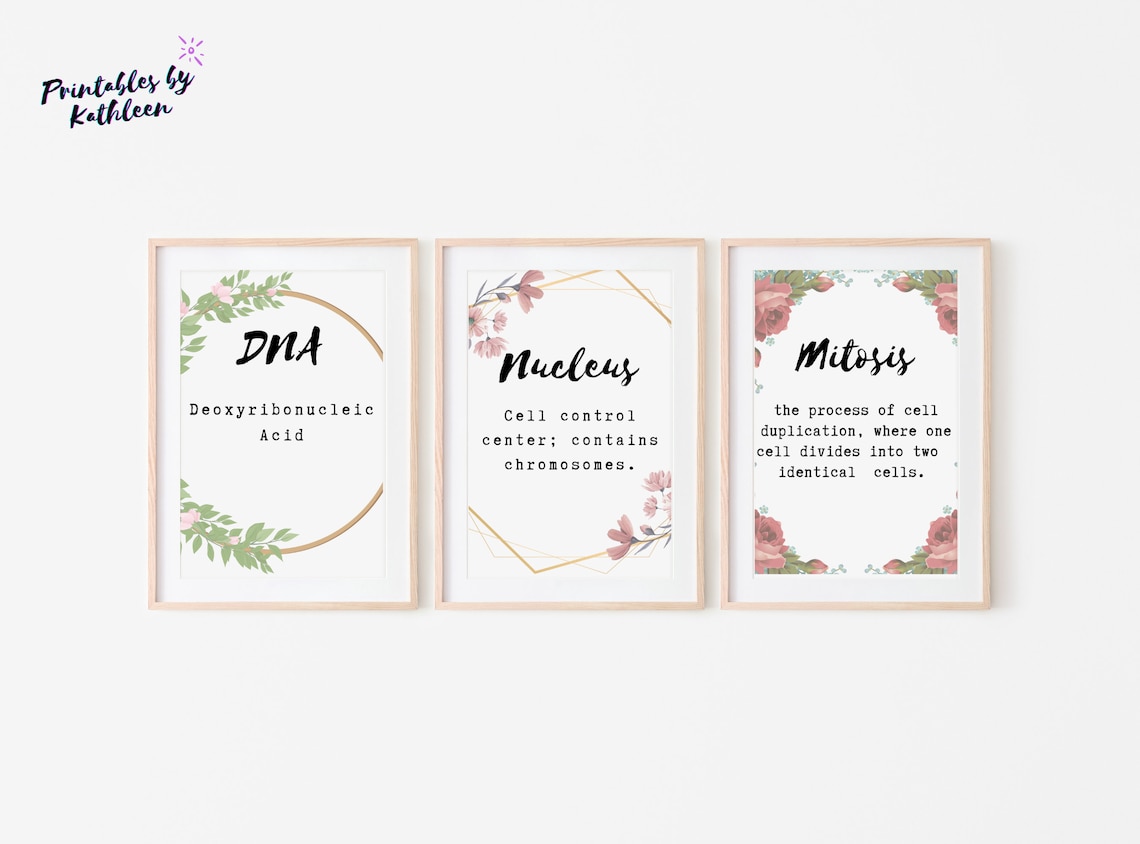 Biology Classroom Posters Science Classroom Posters Science | Etsy