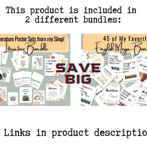 Literary Posters; English Classroom Decoration; High School English ...