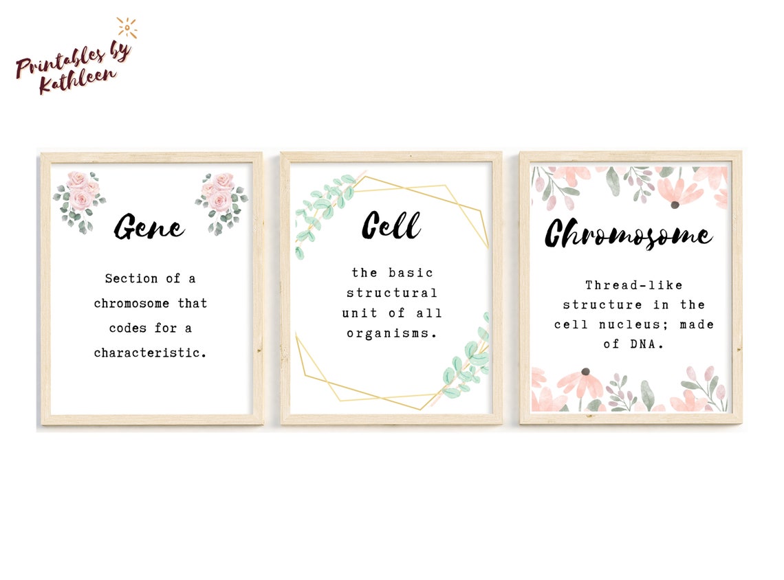 Biology Classroom Posters, Science Classroom Posters, Science Teacher ...