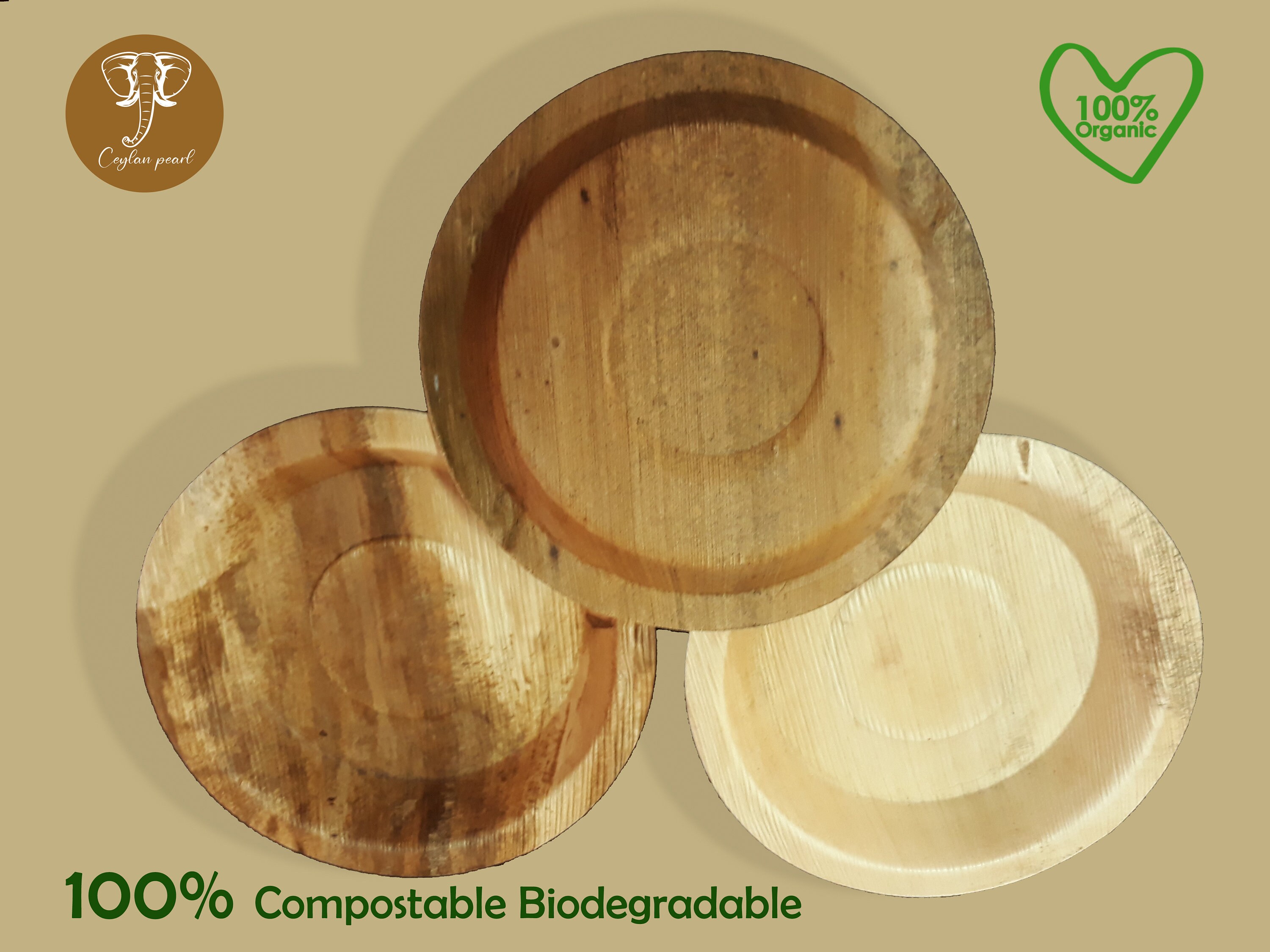 Biodegradable Areca Plates PALM LEAF Plates, Bamboo Style - 8 Inch(20cm ...