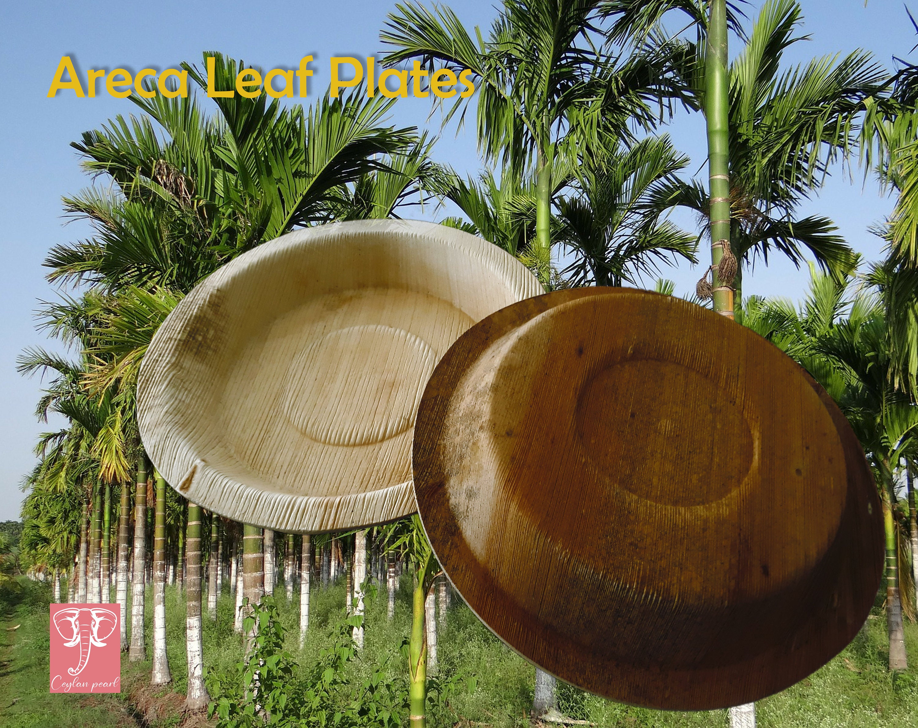 Biodegradable Areca Plates PALM LEAF Plates, Bamboo Style - 8 Inch(20cm ...