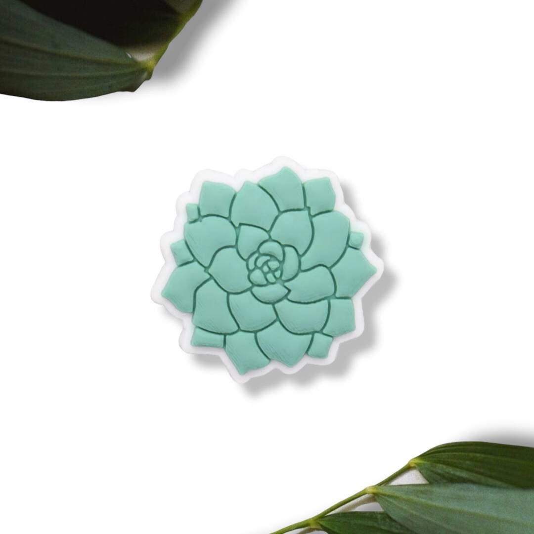 Green Succulent Croc Charm Houseplant Shoe Clog Charm Plant Parent Gift ...