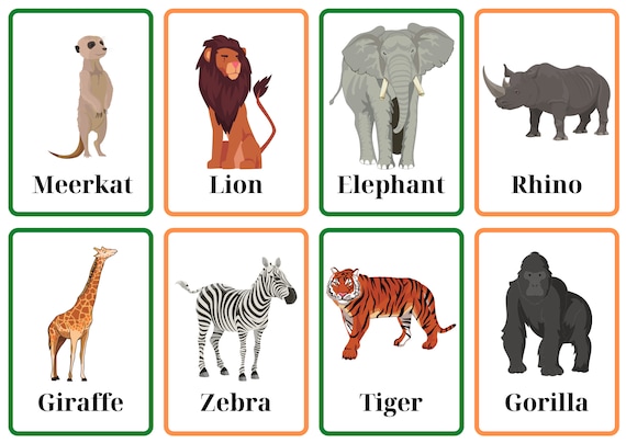 Safari Animal Flashcards - Etsy