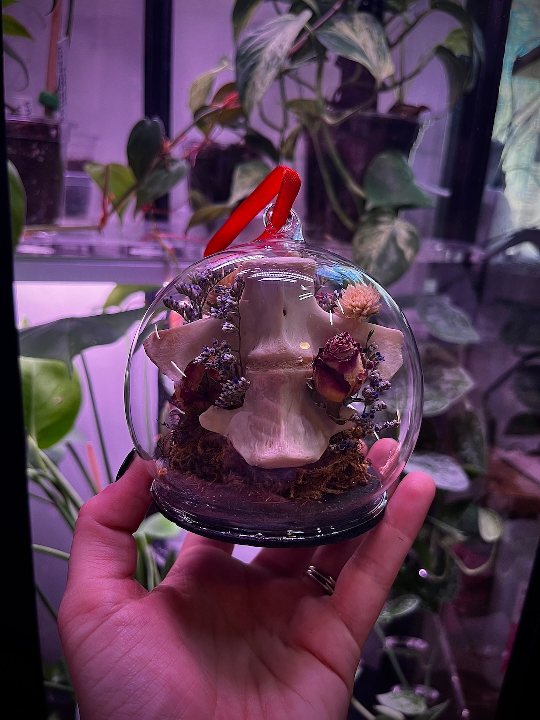 Ornament With Deer Vertebrae/ Dried Flowers - Etsy UK