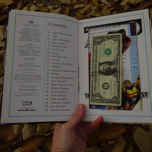Hide Cash - Etsy