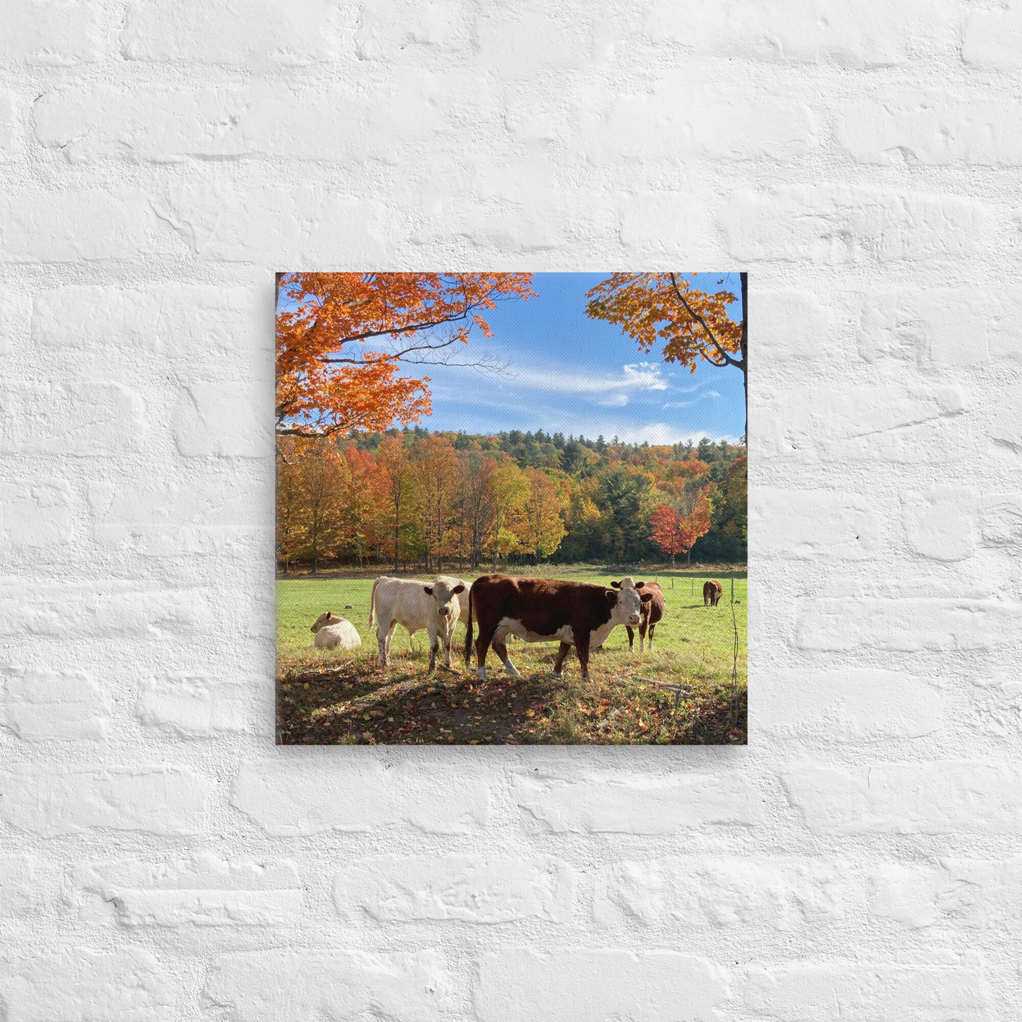 Vermont Cow Canvas Nature Fall Art Canvas Home Decor - Etsy