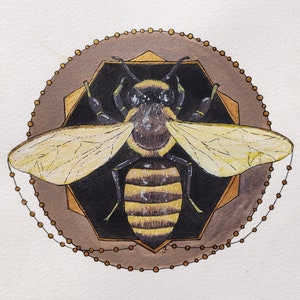 Honey Bee - Etsy