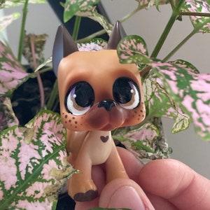 Lps Great Dane Custom - Etsy