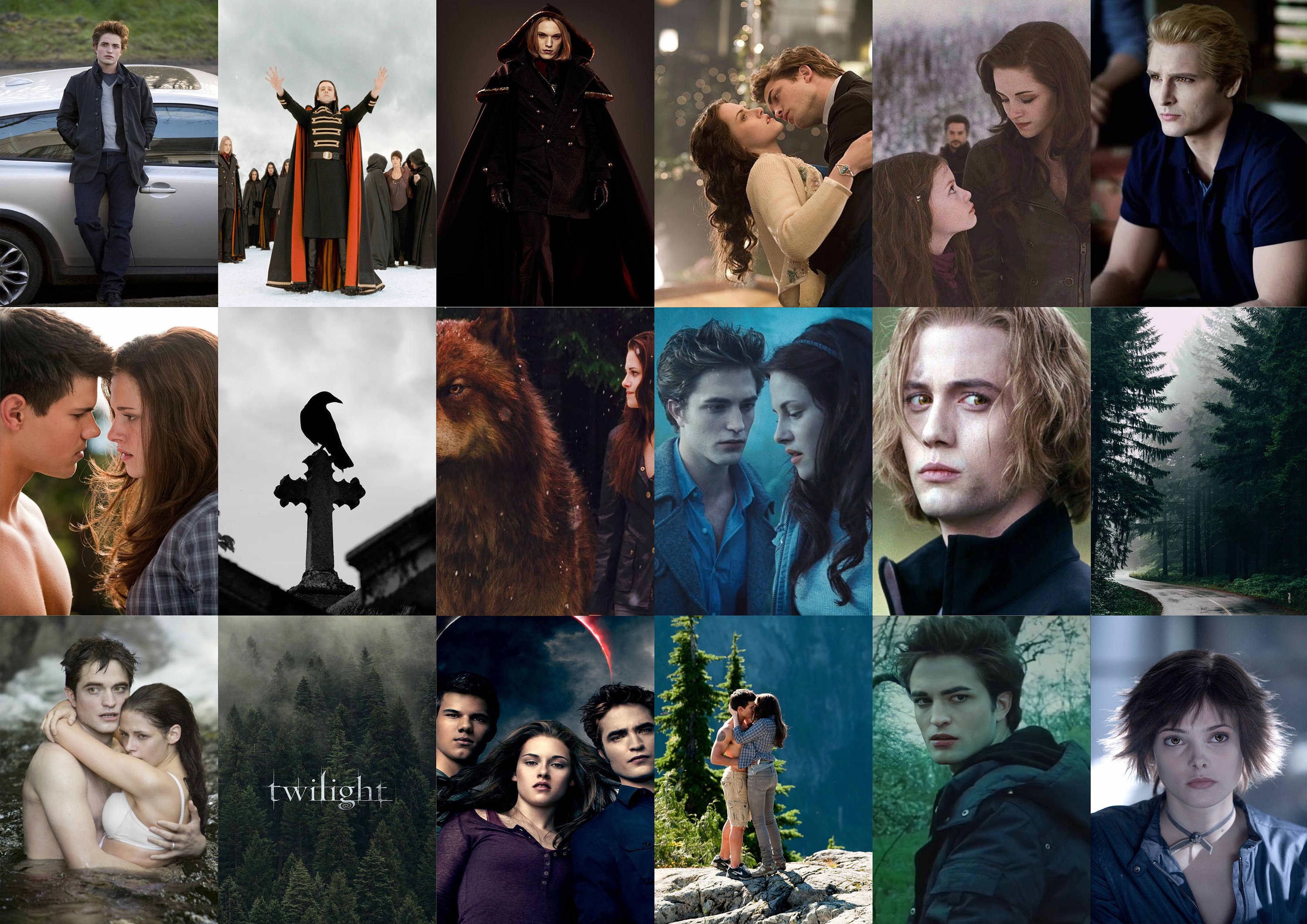 Twilight Wall Collage Kit | Twilight Saga Aesthetic Photo Collage ...