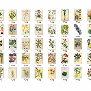 Vintage Botanical Posters Wall Collage Kit | Retro Style Printable Wall ...