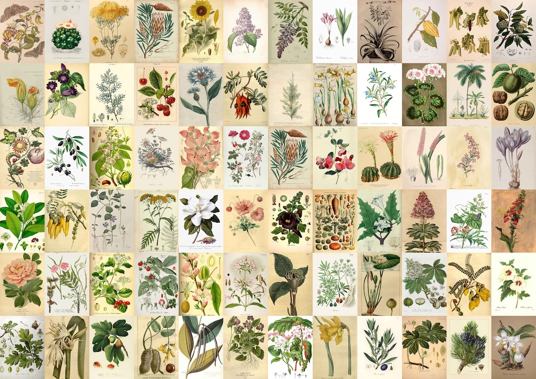 Vintage Botanical Posters Wall Collage Kit | Retro Style Printable Wall ...